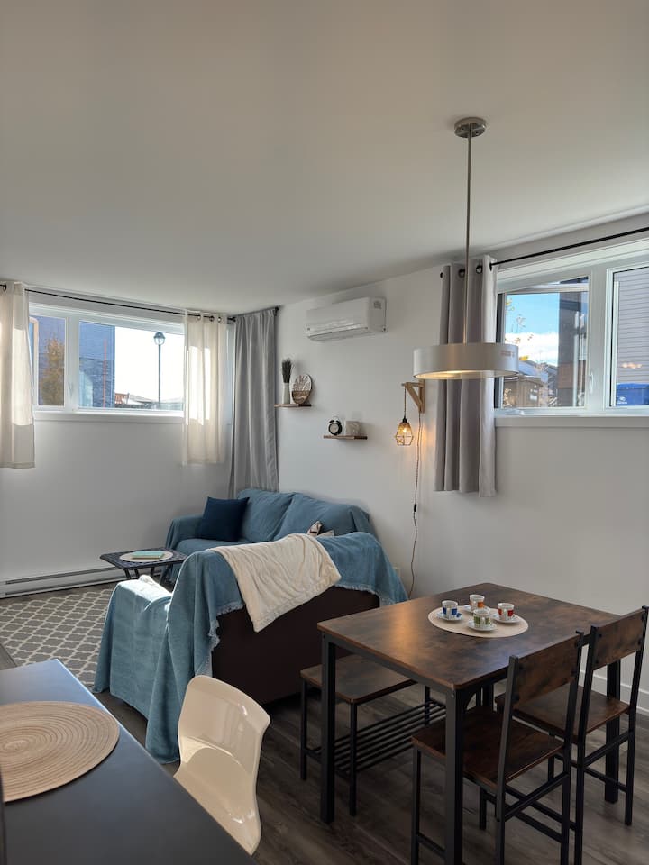 Logement Complet Près Du Centre-ville - Ottawa
