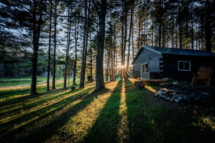 Sasquatch Sanctuary Tiny Log Home On 10 Acres - Estados Unidos
