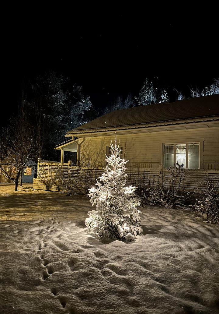 Northern Lights Villa - Rovaniemi