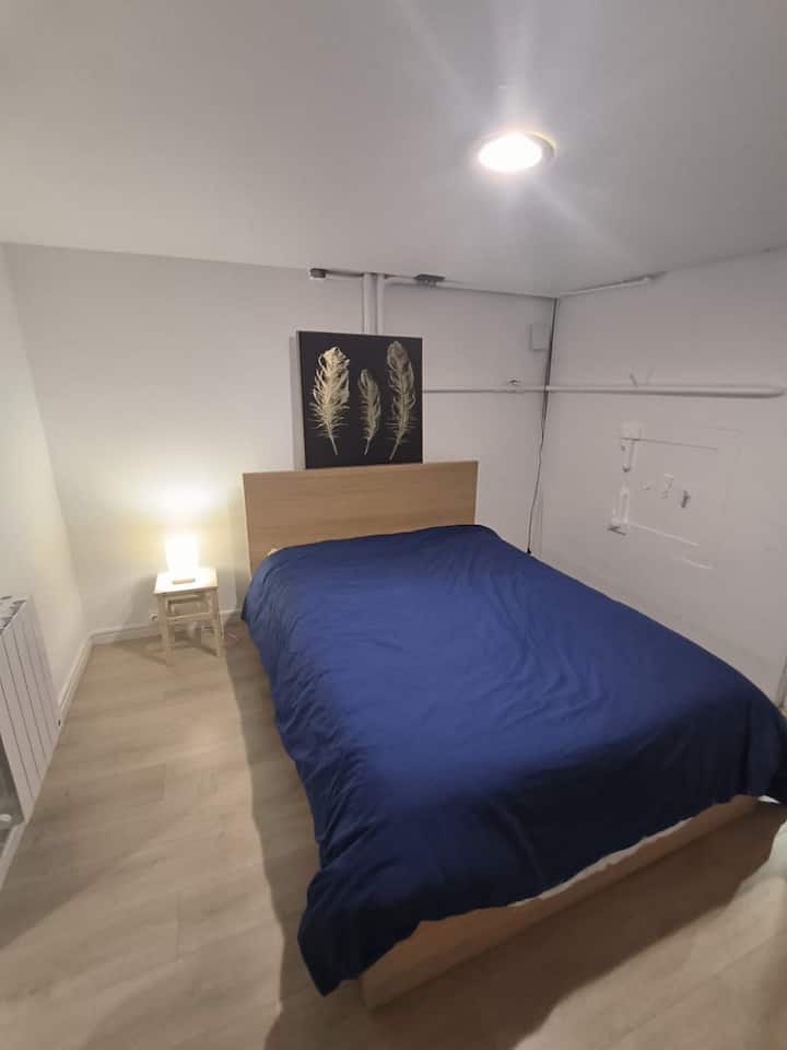 Appartement En Souplex Atypique - Strasbourg
