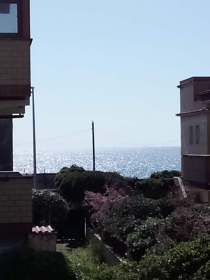 Stella Marina 296 - Ardea