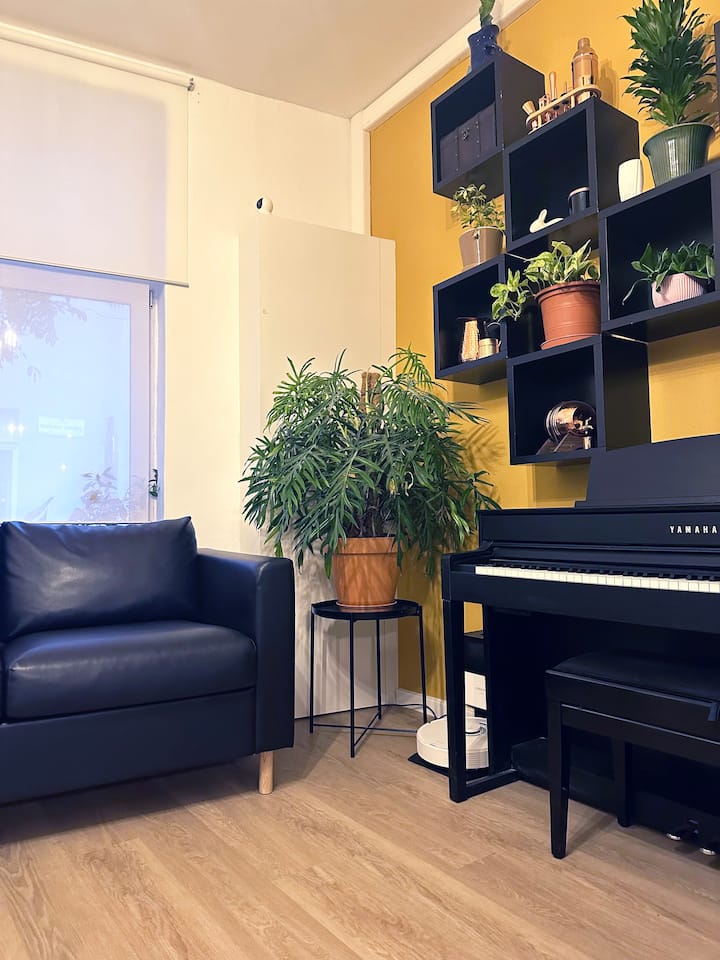 Attractive Spacious Room At Home - Ghent (Belgium)