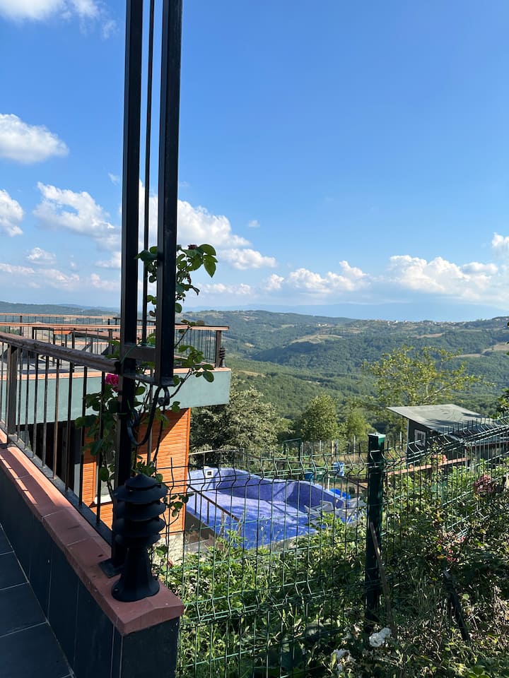 Nerry’s Garden İZmit - Protea - Kocaeli