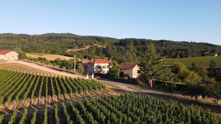 Charmante Maison Au Cœur Des Vignes. Gîte Le Viron - France