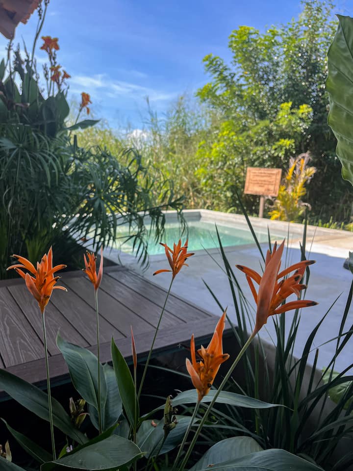 Private Pool Villa · Near Surf, Far From Crowds - メキシコ