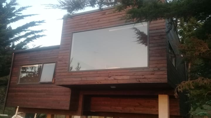 Cabo Polonio 2 - Pichilemu