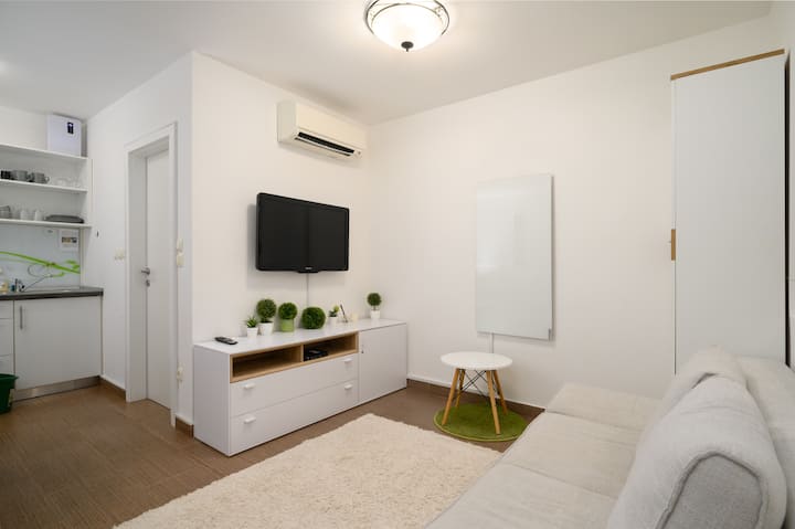 Central Castle Apartment #2 - Liubliana