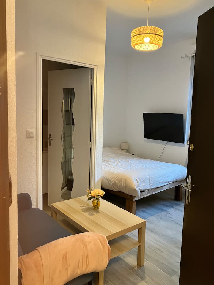Appartement Cosy Gare Matabiau - Toulouse