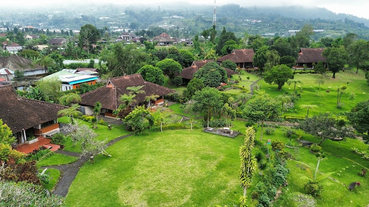 Near Bali Farm House And Buyan Lake - Deluxe Room - Munduk