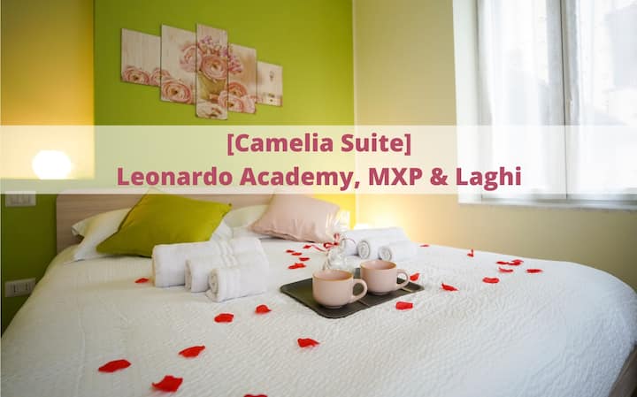 Camelia -Radice Comfort Apartments- Leonardo, Mxp - Arona