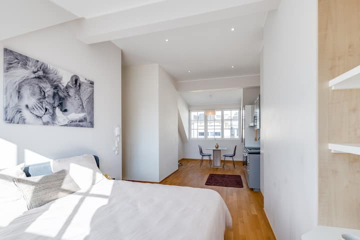 Pétrusse ÉLite Suites Studio - Luxembourg City