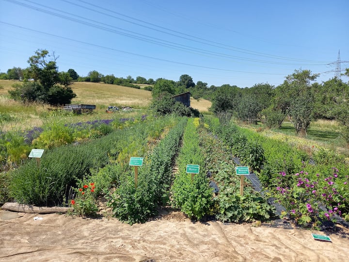 "Ruhe Pur - Im Horst" - Mühlacker