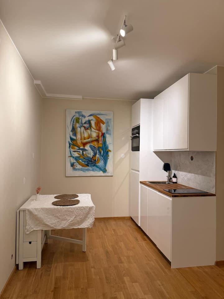 Pp1-central-cosy Studio Flat Suits Globetrotters - Oslo