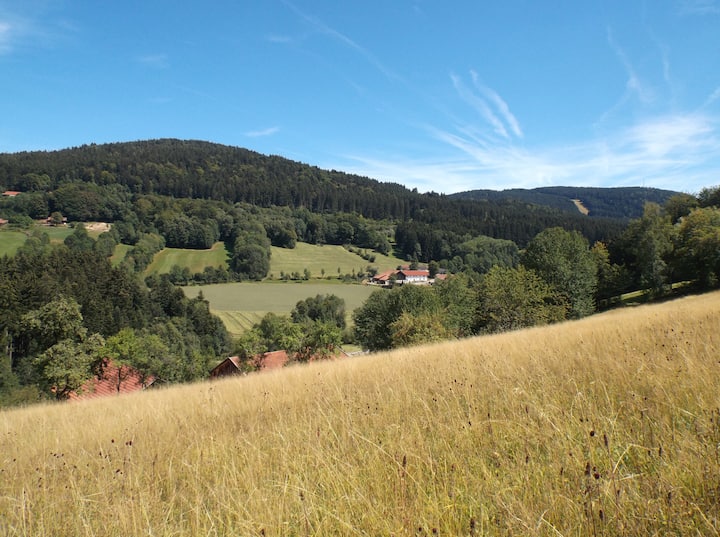 Aktivcard-ferienwohnung (85qm) Mit Großer Terrasse - Sankt Englmar