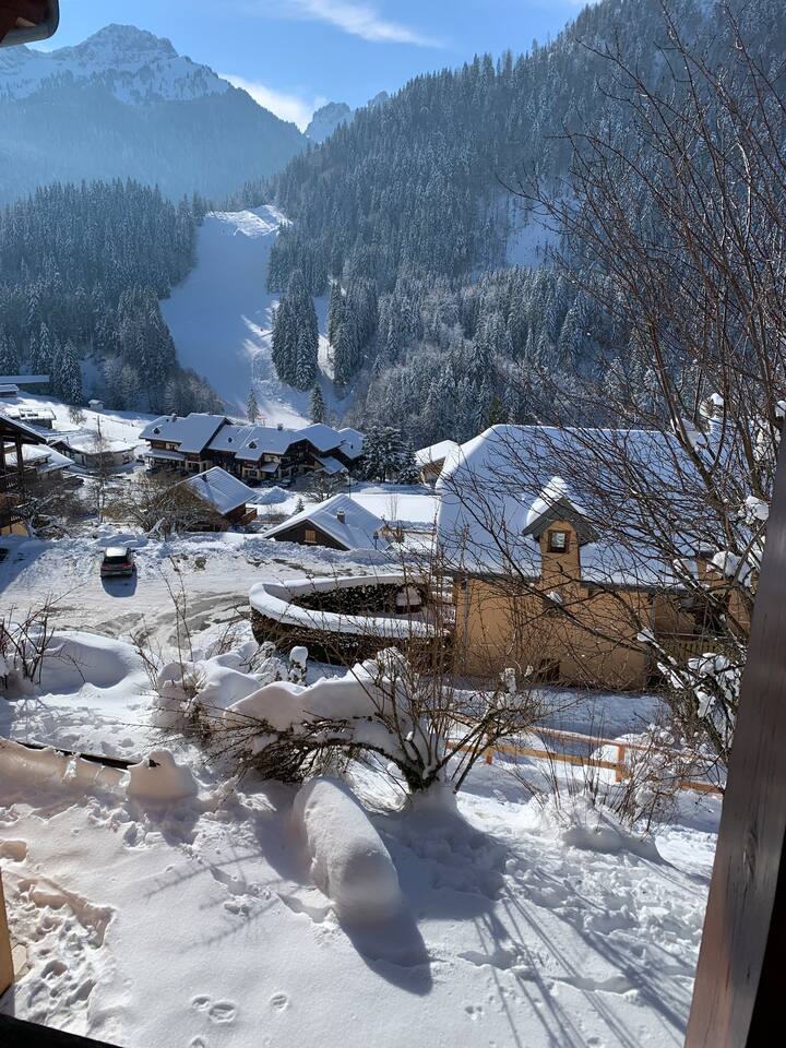 Appartement 4/5 Pers Proche Des Pistes - Hirmentaz