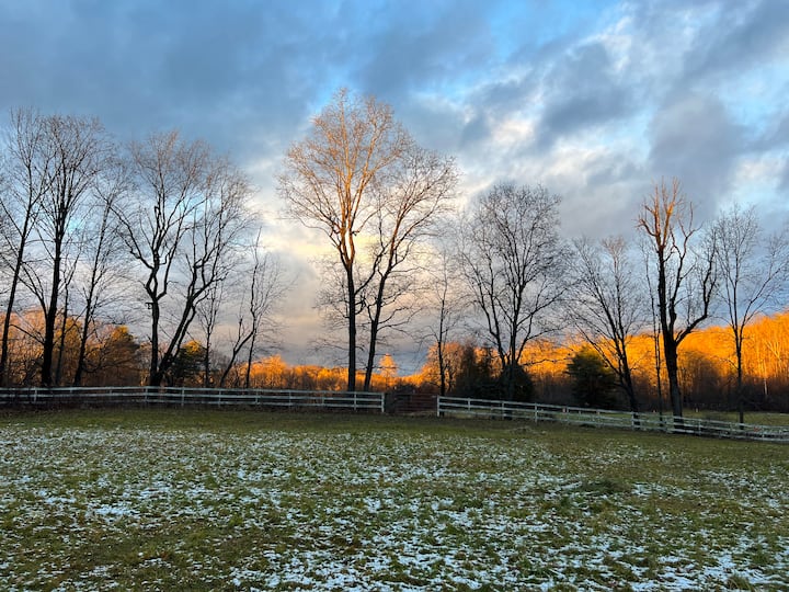 Vineyard Guest Cottage - Nassau, NY