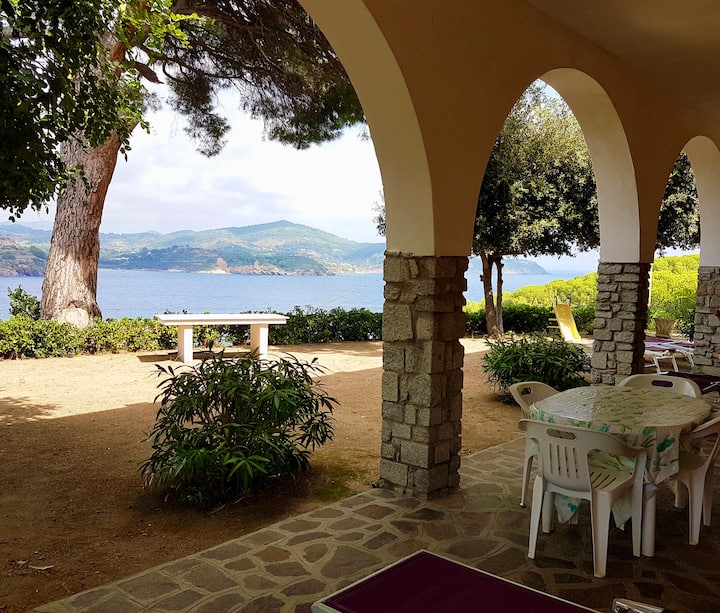 Casa Anna - Capo Perla Apartments - 4° - Elba