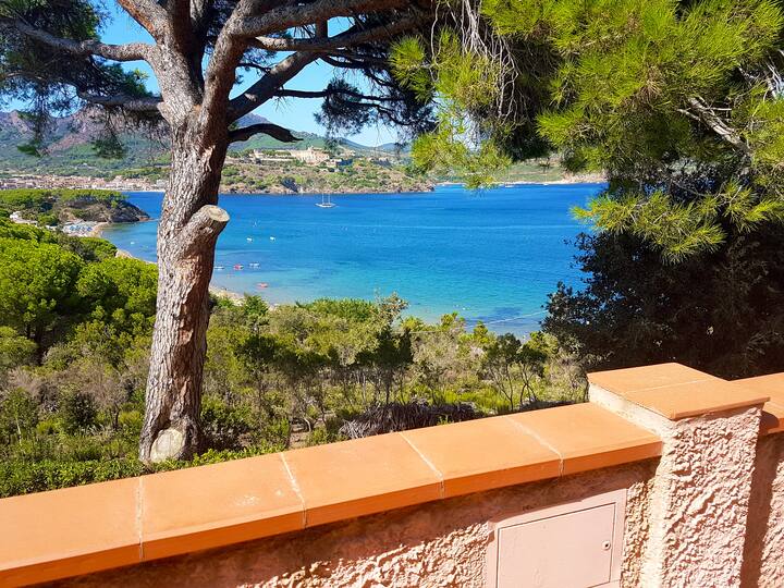 Casa Anna - Capo Perla Apartments - 2° - Portoferraio