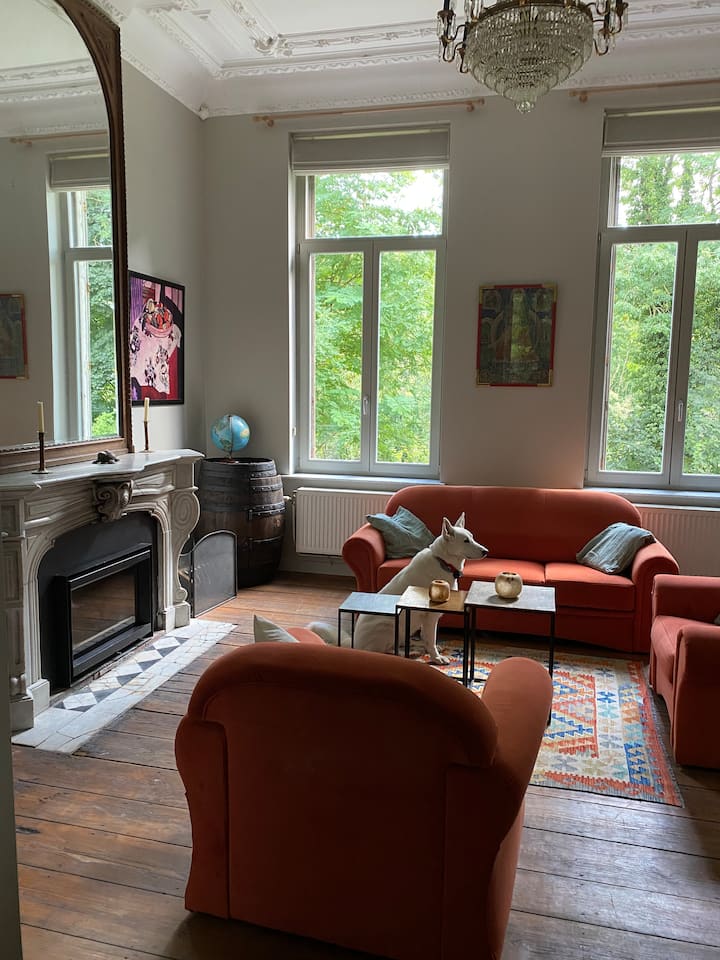 Sambre D'amis - Chambre Tilleul - Thuin