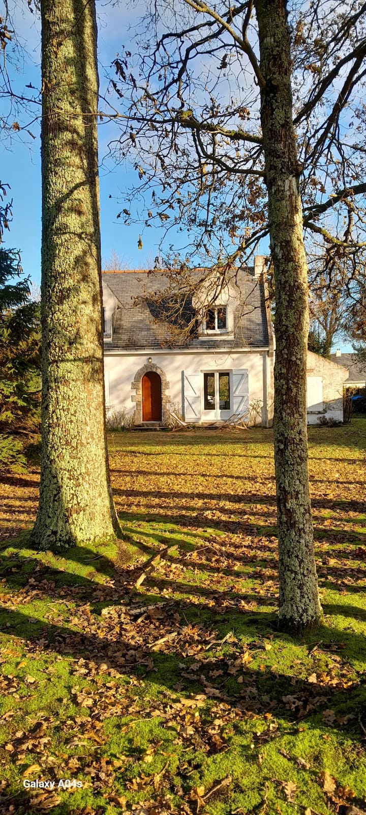 Superbe Maison Familiale, Grand Jardin, Proche Mer - Saint-Molf