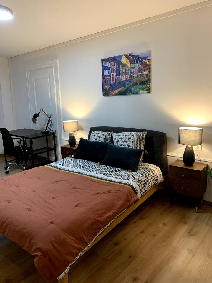 New 3 Bedrooms Apartment - Historical Center - Parc Zoologique et Botanique de Mulhouse