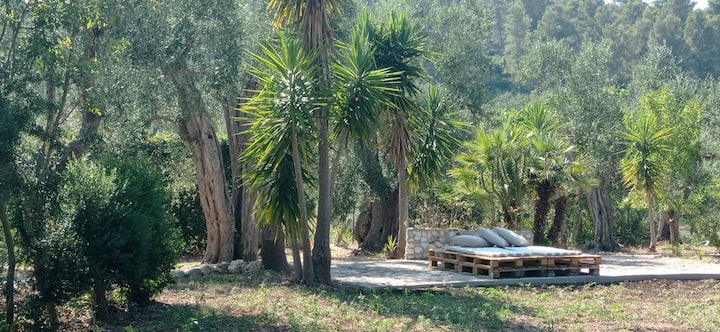 Masseria Le Ville Appartamento Gelsomino - Vico del Gargano