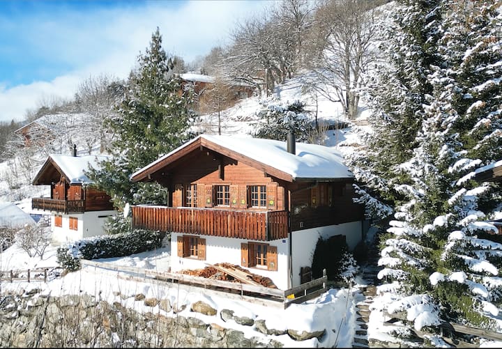 Entire Chalet With Stunning View, Sauna & Garden - Bettmeralp