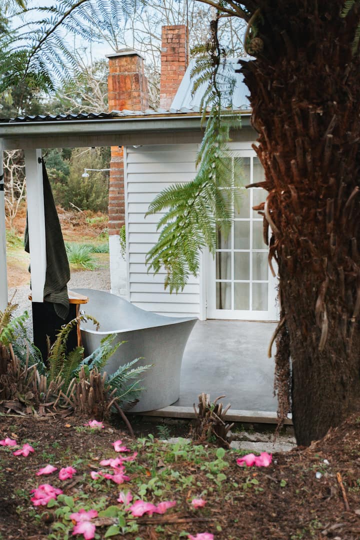 Fern Mt Field – Luxe Cottage On Tyenna River - Mount Field National Park