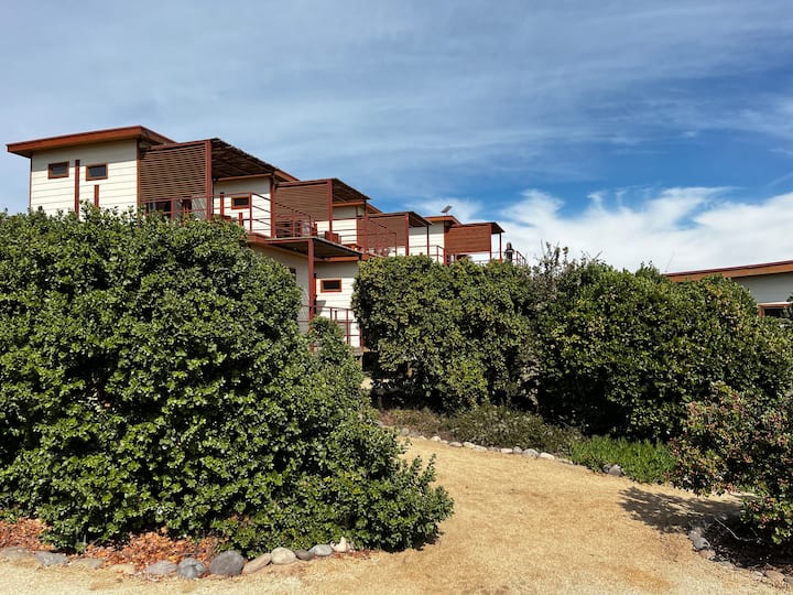 Cabañas Yaca, Degú, Cururo Y Chungungo. Vistaverde - Quintero