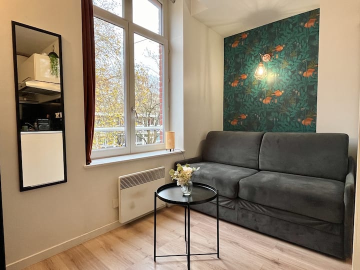 Petit Studio En Plein Cœur De Lille - Lille