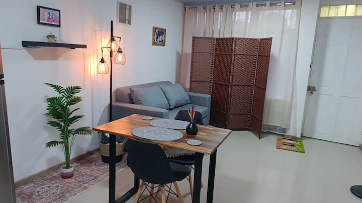 Paw's House: 5 Mins To Sjo Airport And Downtown. - 