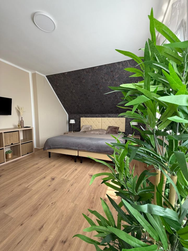 Apartment 1 In Salzgitter -Schuster Homes- - Salzgitter