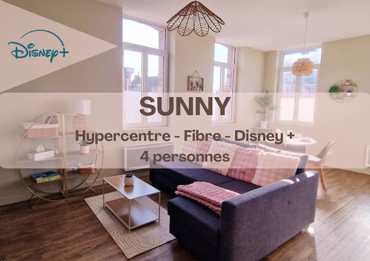 Sunny - Hypercentre - Fibre - Douai