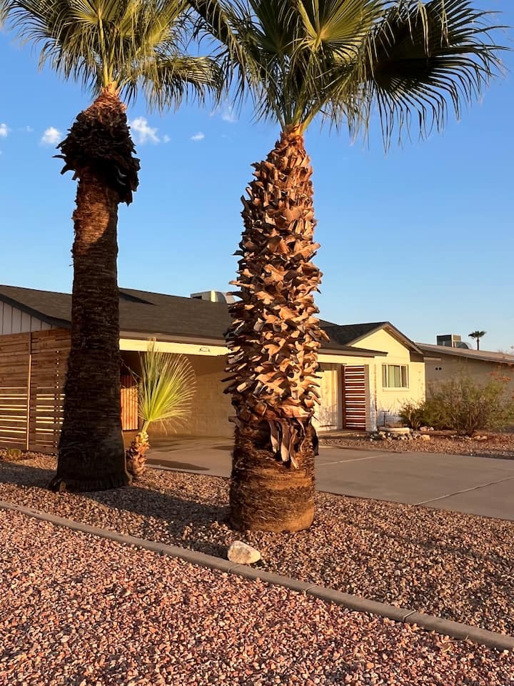 Clean,cozy,private Backyard Retreat Dog Friendly. - Tempe, AZ