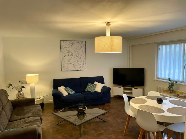 Appartement Centre De Strasbourg - Kehl