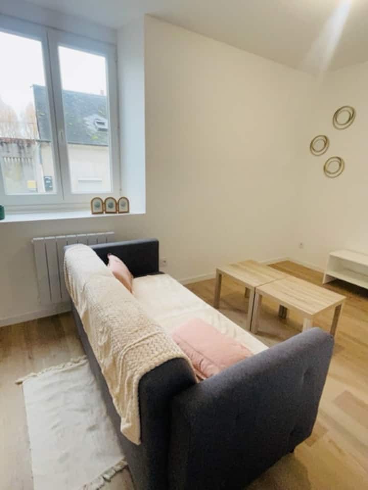 Lumineux T3 En Centre-ville - Bourges