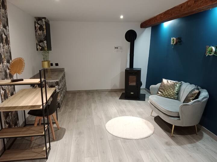 Appartement Premium Dans Un Ancien Manoir - Thiers