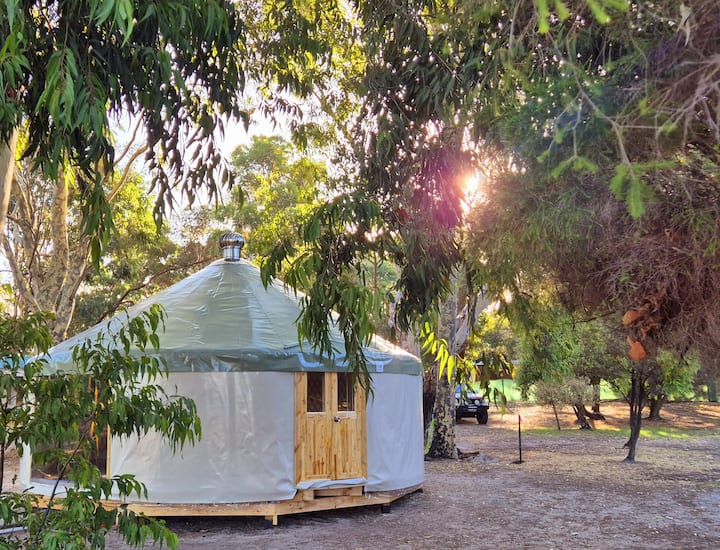 Margaret River "Red Tingle" Yurt's In Yelverton - Dunsborough