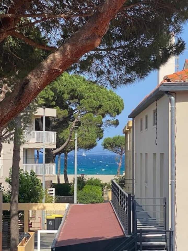 F3 Classé Meublé Tourisme  80m De La Plage - Argelès-sur-Mer