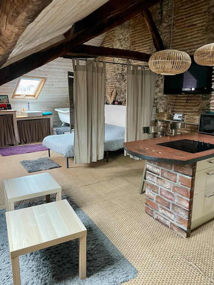 Loft Charmant Dans Le Centre Historique - Nantes