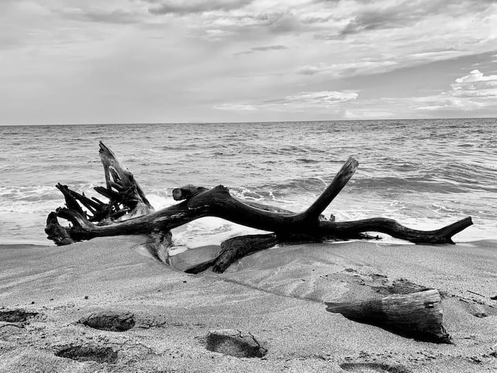 Nouveau Plage Et Farniente - Korsika