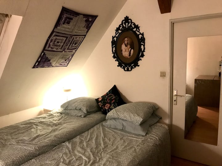 Chambre En Appartement - Colmar