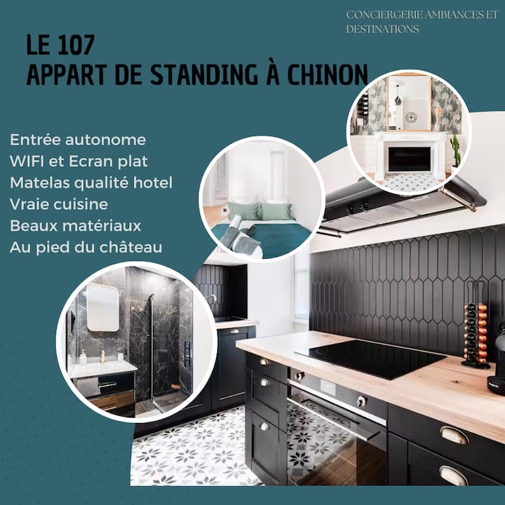 Le 107- Standing • Au Pied De La Forteresse - Chinon