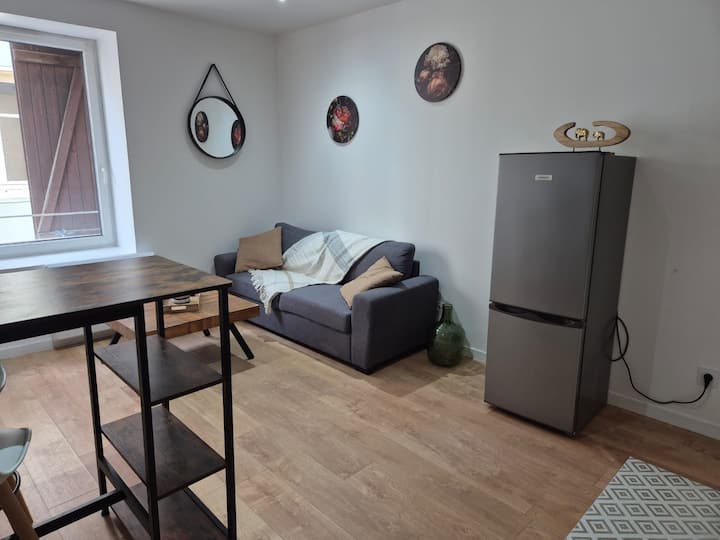 Charmant T1 Calme Avec Chambre Et Canapé Lit - Montbéliard