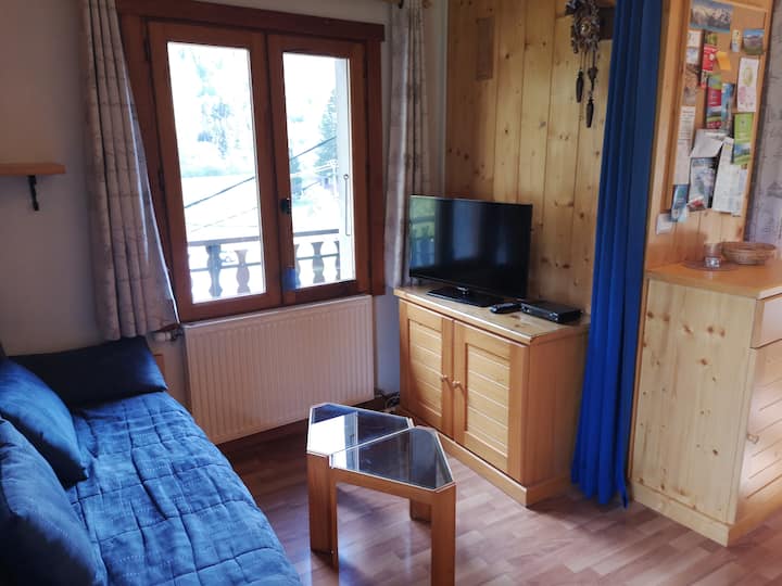 Appartement Chalet Vue Superbe - Sixt-Fer-à-Cheval