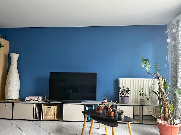 Chambre Double Avec Lit Japonais - Jean Macé - Lyon