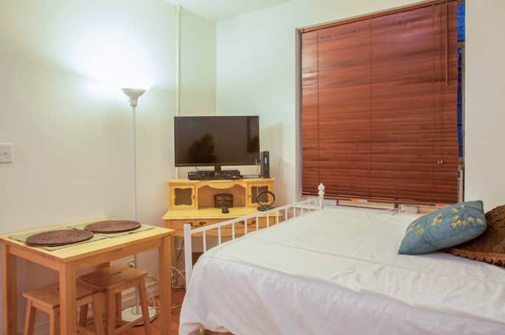 Cozy Studio Steps From Boston Common And Theaters - Boston, MA