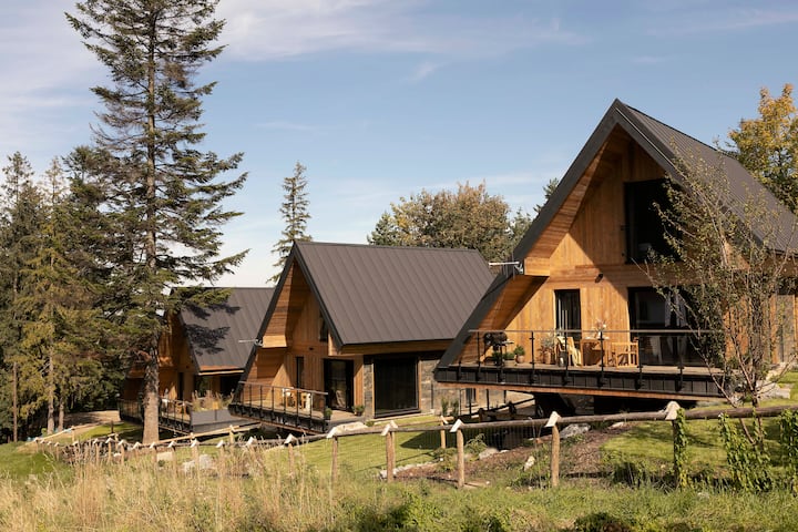The Sopa 1 - Heritage Premium House - Zakopane