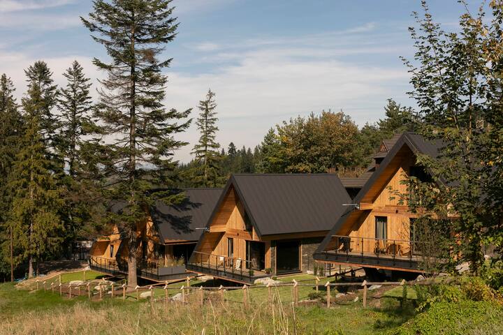 The Sopa 2 - Heritage Premium House - Zakopane