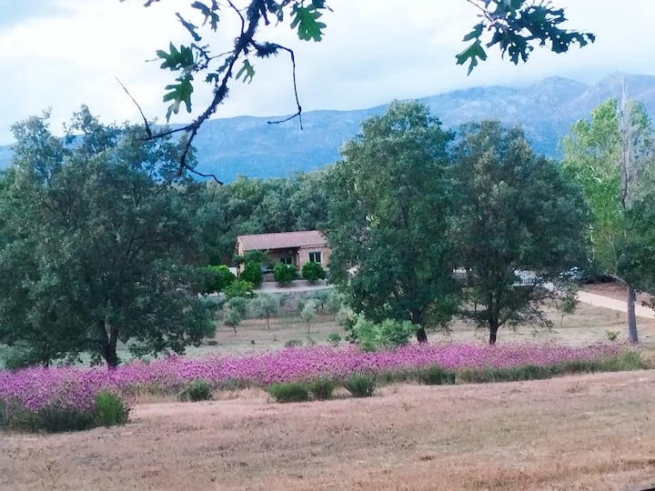 Finca El Altillo - Jarandilla de la Vera